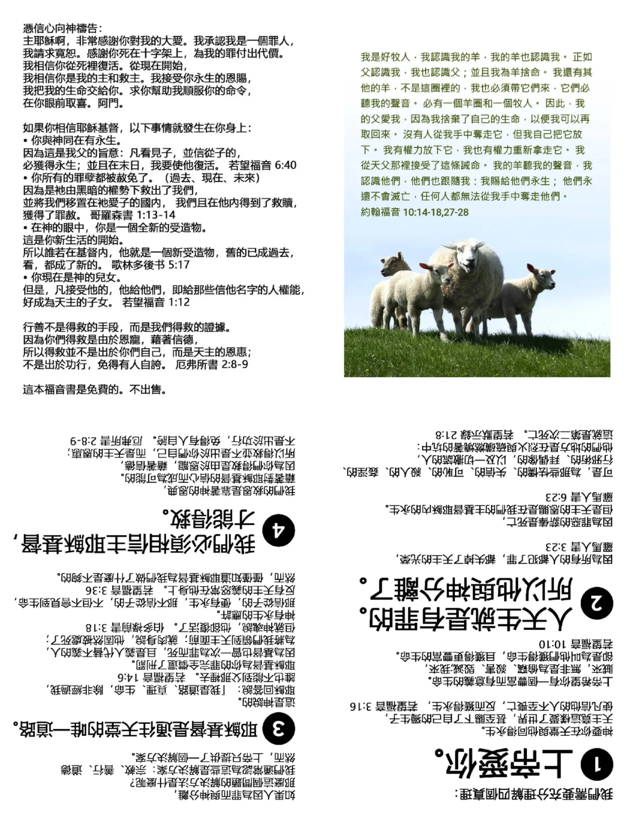 Printable Chinese Traditional Gospel Tract - Good Shepherd.pdf