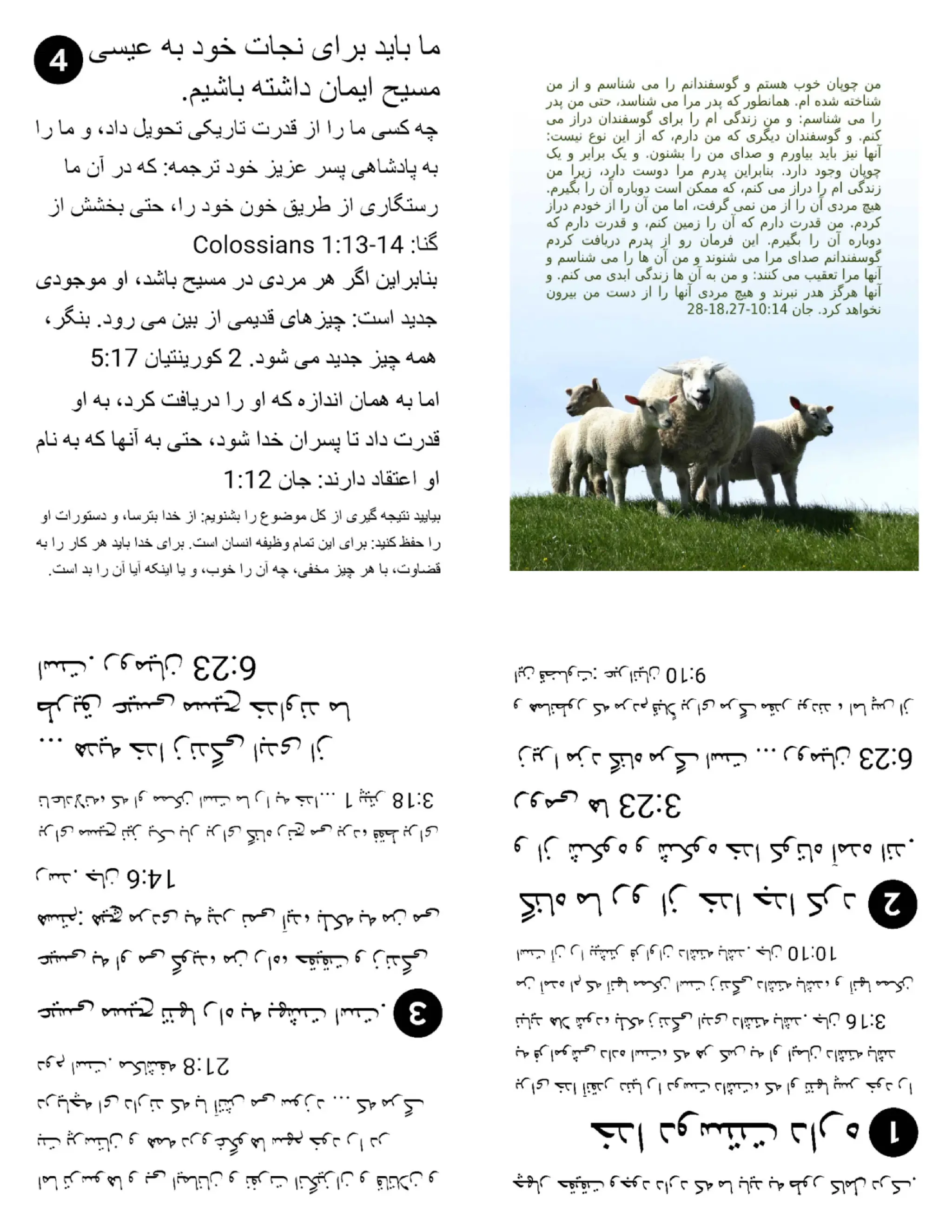Printable Dari Persian Gospel Tract - Good Shepherd.pdf