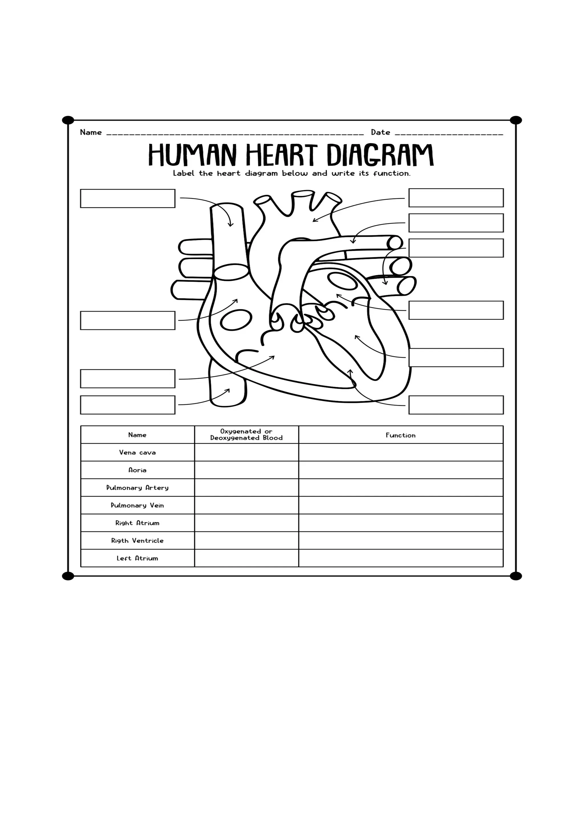 printablee.com-anatomy-and-physiology-worksheets_486949.png.pdf | Heart ...