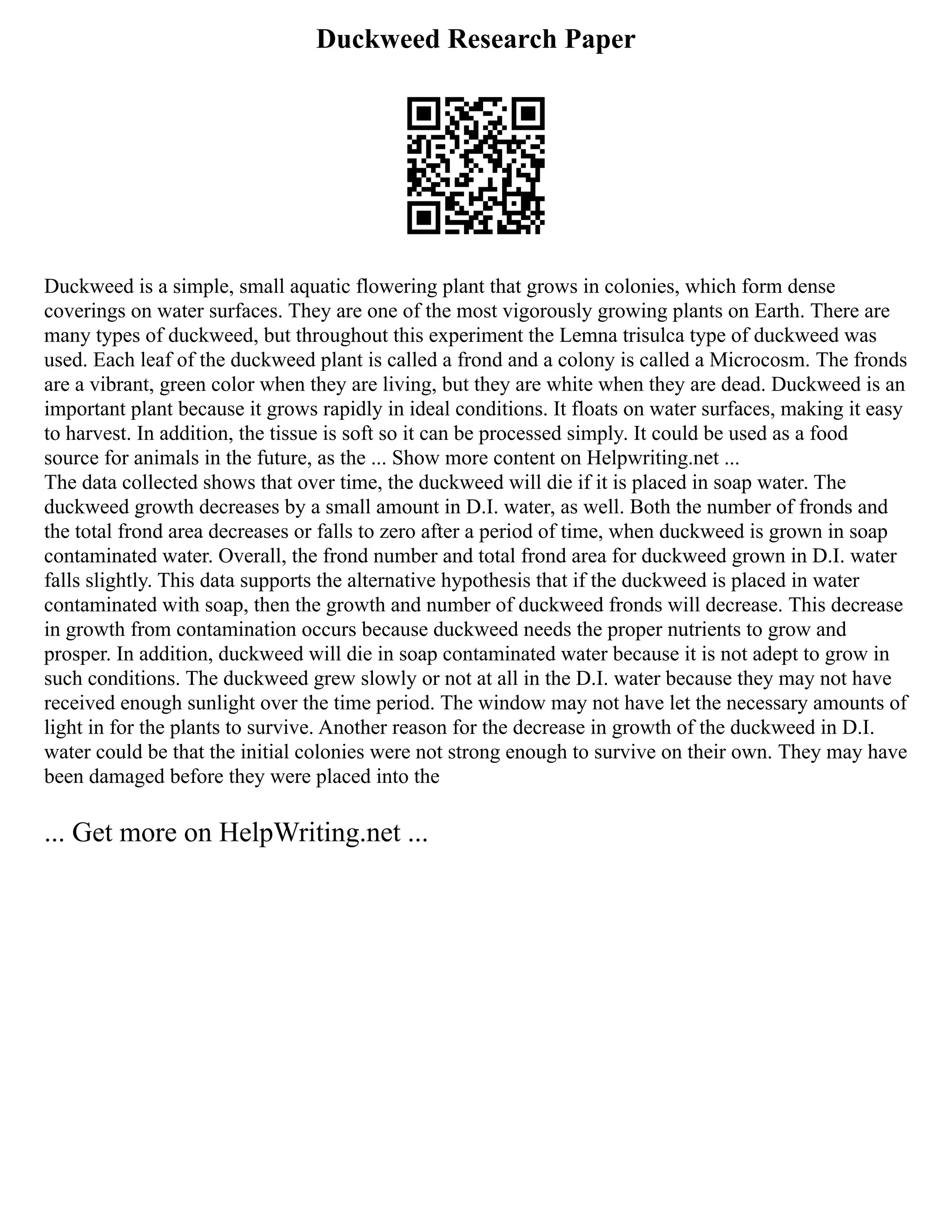 Printable Lined Writing Paper Clouds Raindrop | PDF