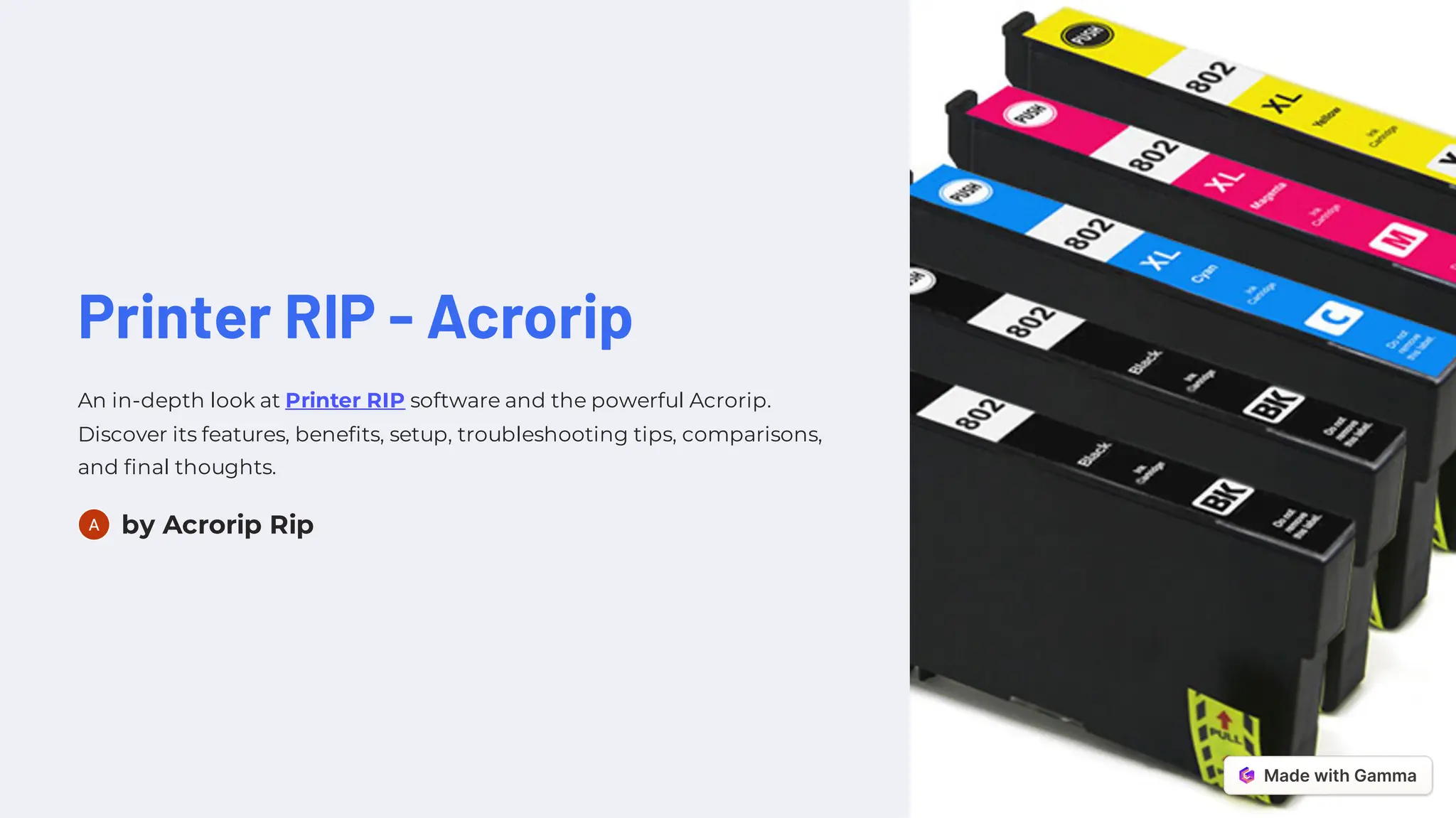 Printer RIP - Acrorip | PDF