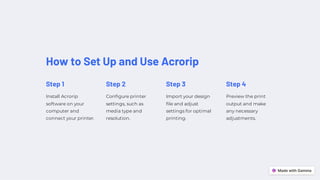 Printer RIP - Acrorip | PDF