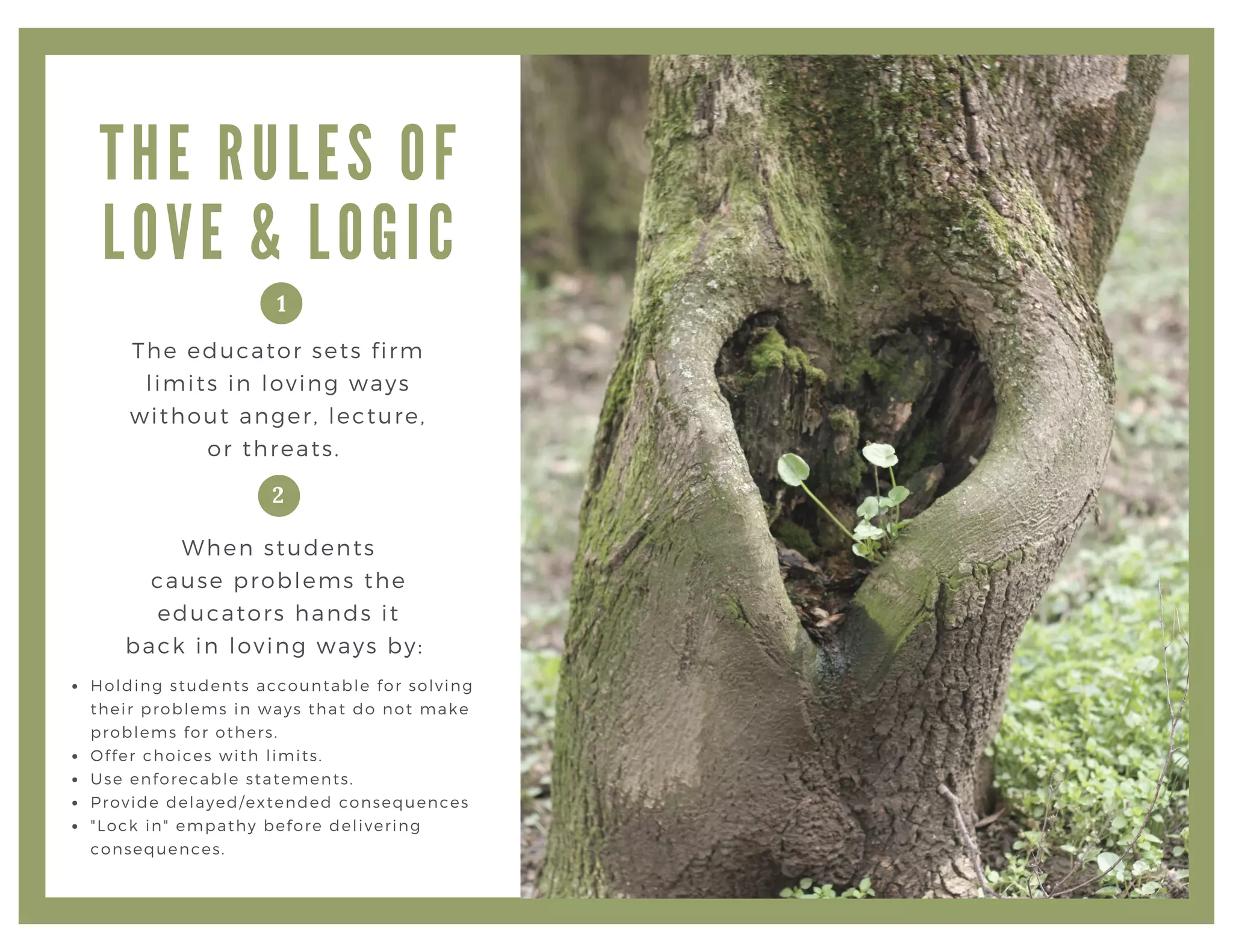 Love & Logic: Basic Principles | PDF