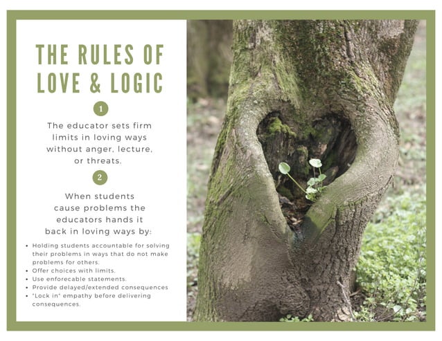 Love & Logic: Basic Principles | PDF | Education