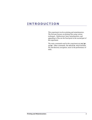 Printing And Metacharacters | PDF