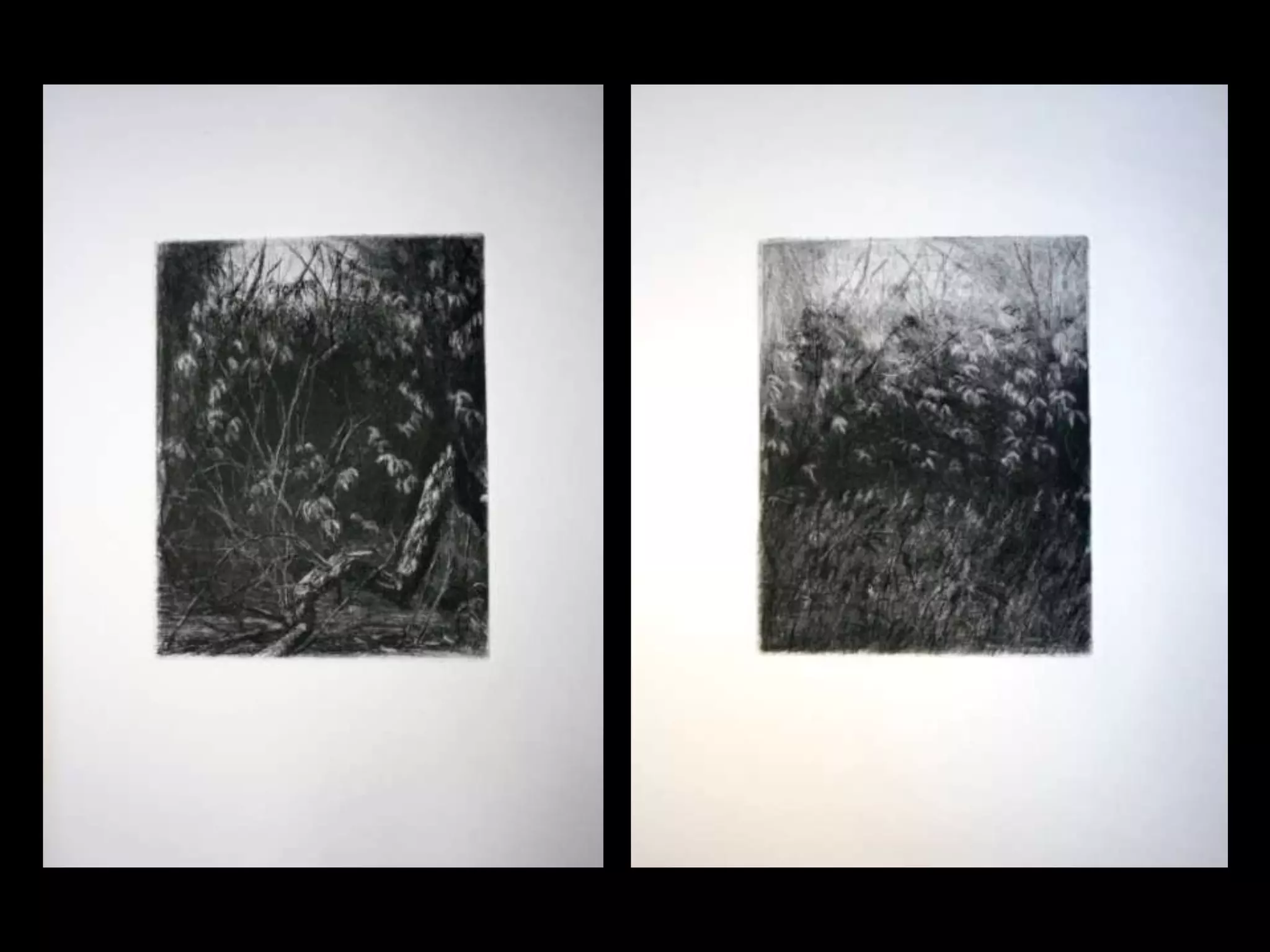 Art Appreciation: Intro to Printmaking | PPTX