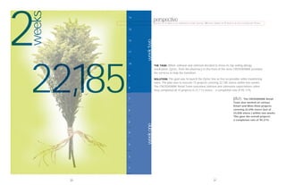 Crossmark Capabilities Brochure | PDF | Sales | Business