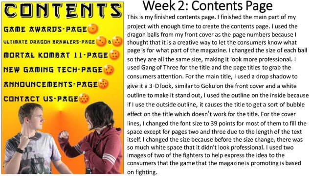 Print project development diary | PPT