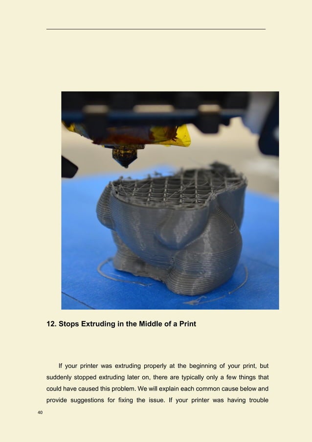 Print Quality Troubleshooting Guide-1.0.pdf