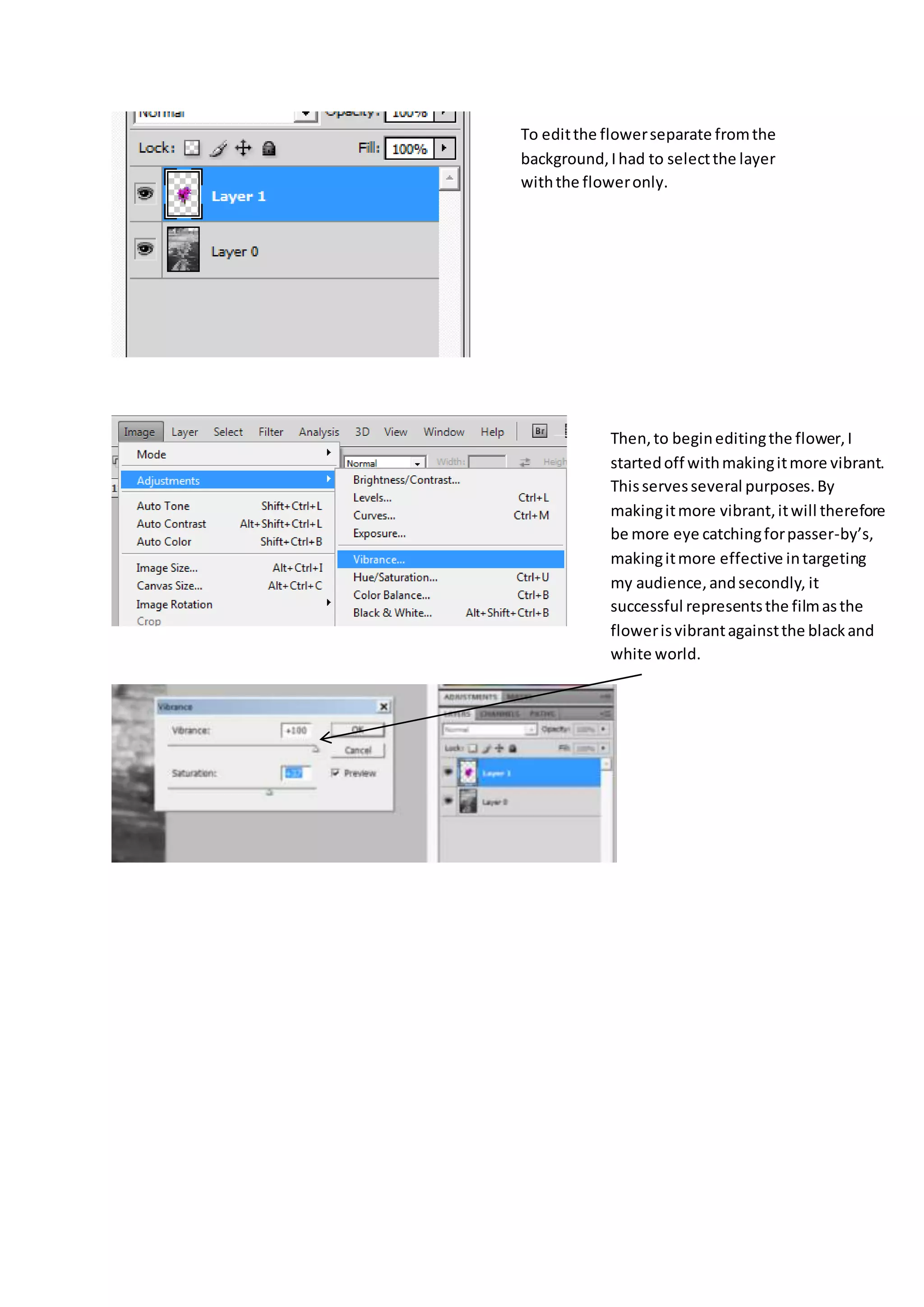 Print screen of flower editing pt2 | DOCX