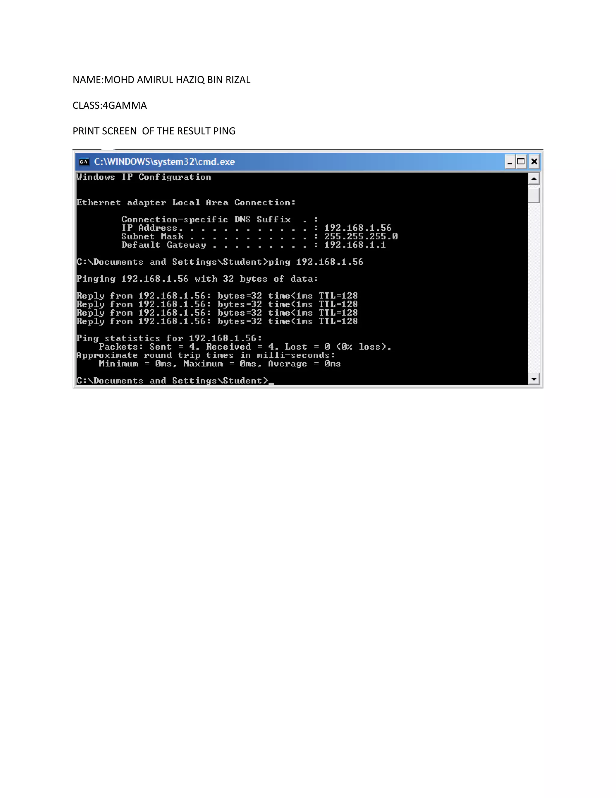 Print screen of ping result | PDF