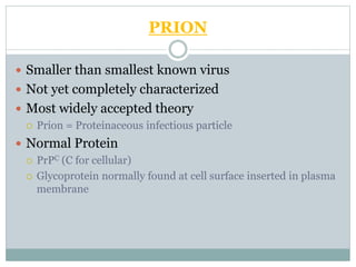Prion | PPT