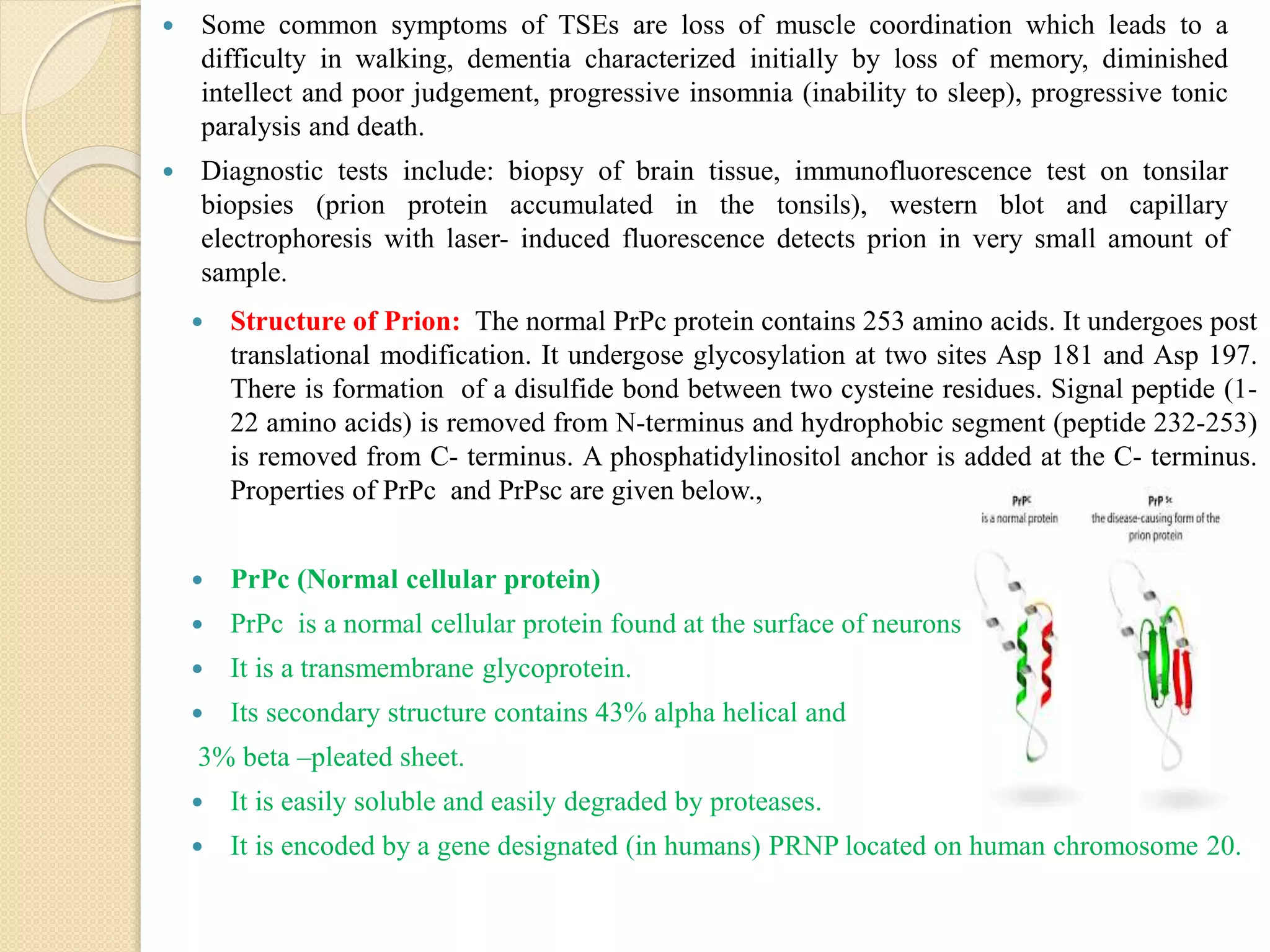 Prion | PPTX | Brain and Nervous System Disorders | Diseases and Conditions