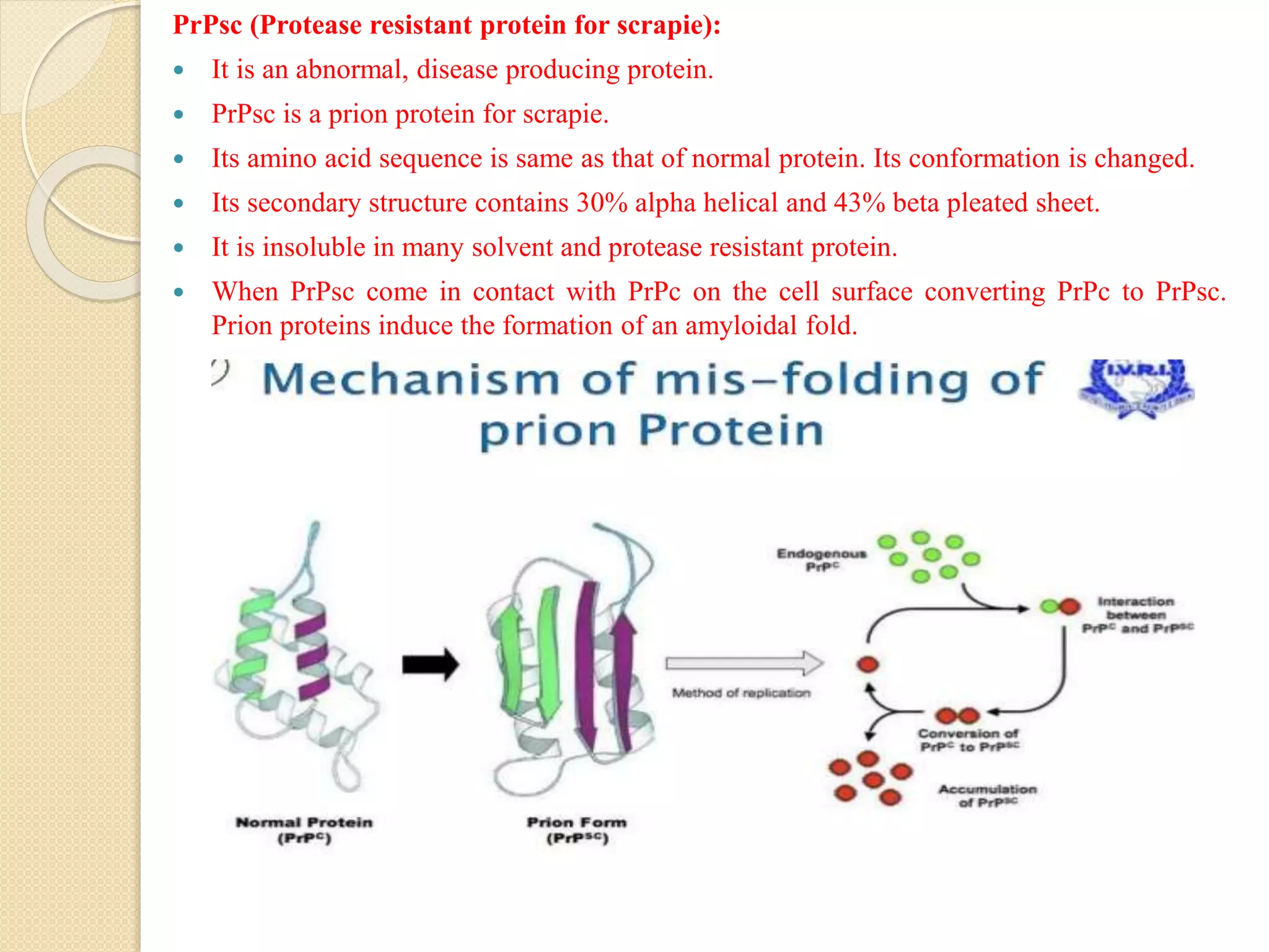 Prion | PPTX