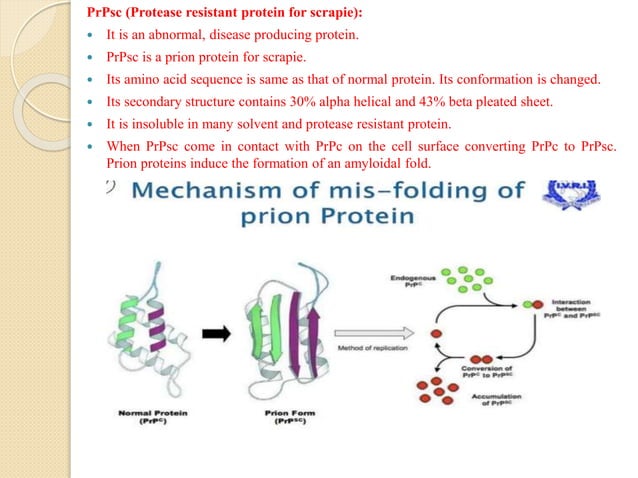 Prion | PPTX | Brain and Nervous System Disorders | Diseases and Conditions