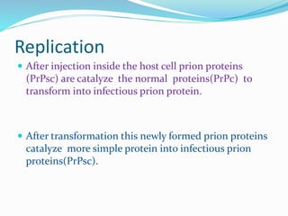 Prion Protein by sourav pan | PPT