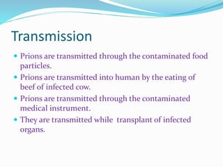 Prion Protein by sourav pan | PPT