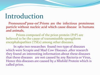 Prion Protein by sourav pan | PPT