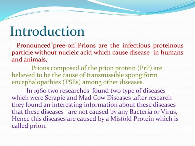 Prion Protein by sourav pan | PPT