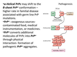 Prion disease | PPT