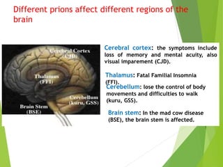 Prion disease | PPTX