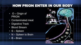 Prion disease | PPT