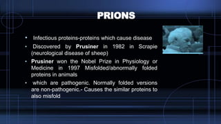 Prion disease | PPTX
