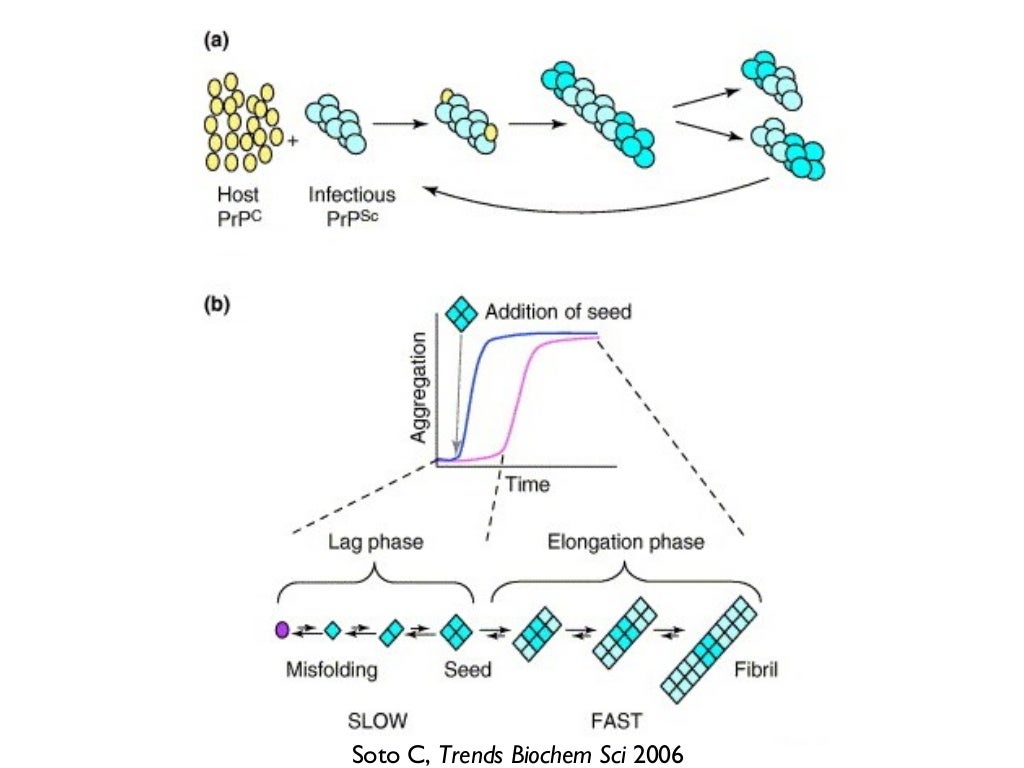 Prion disease: A Rare Phenomena