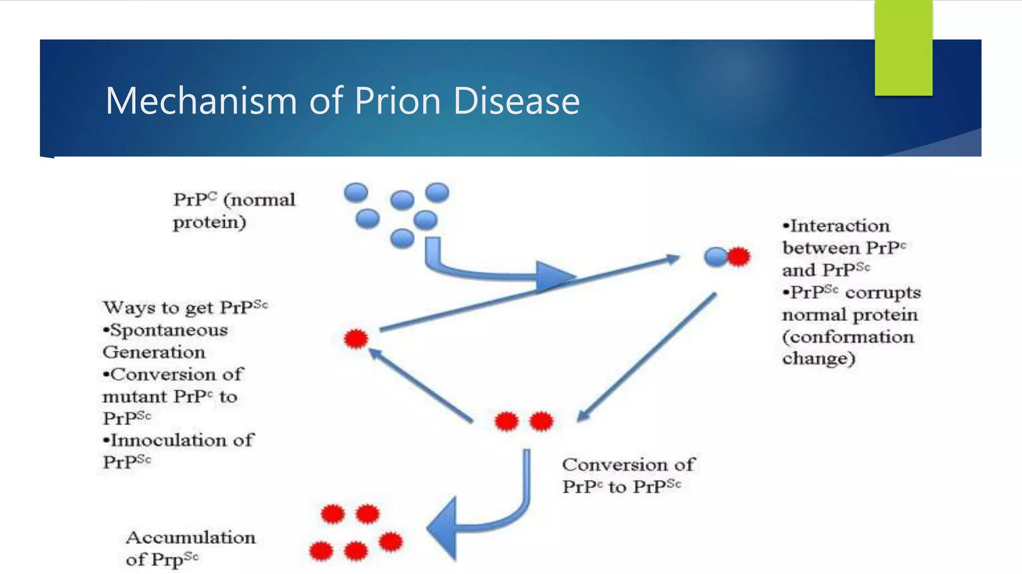 Prion diseases | PPTX