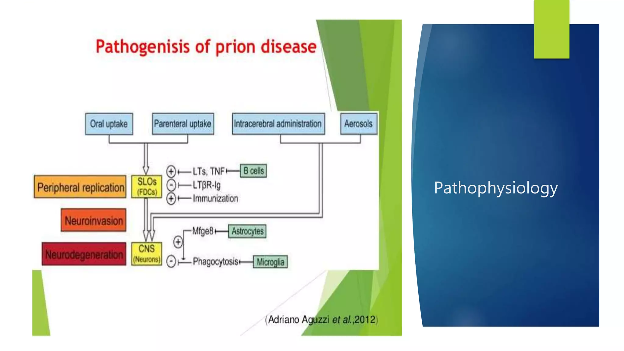 Prion diseases | PPTX