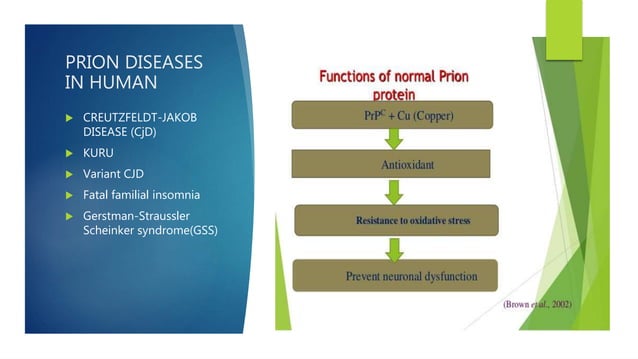 Prion diseases | PPTX
