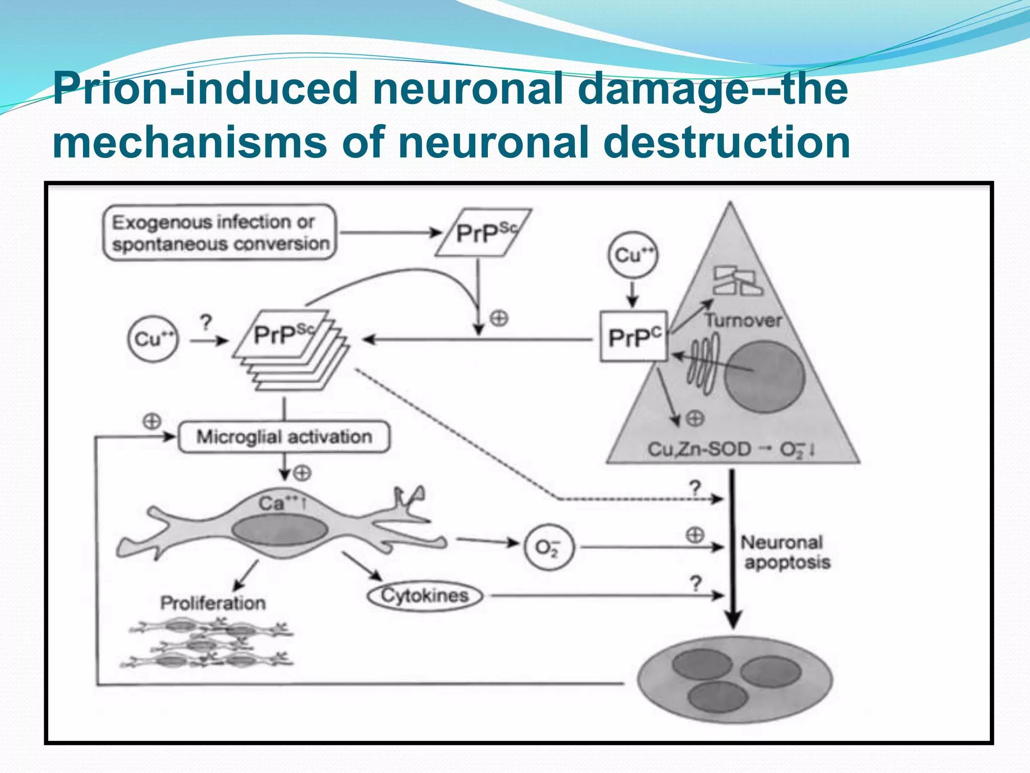 Prion diseases | PPTX | Brain and Nervous System Disorders | Diseases ...