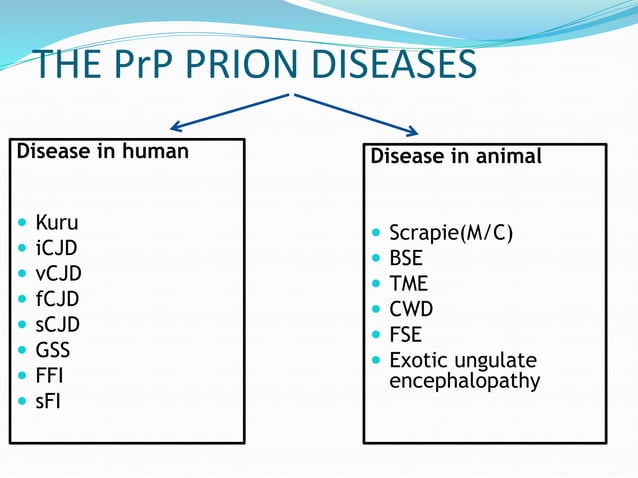 Prion diseases | PPTX | Brain and Nervous System Disorders | Diseases ...