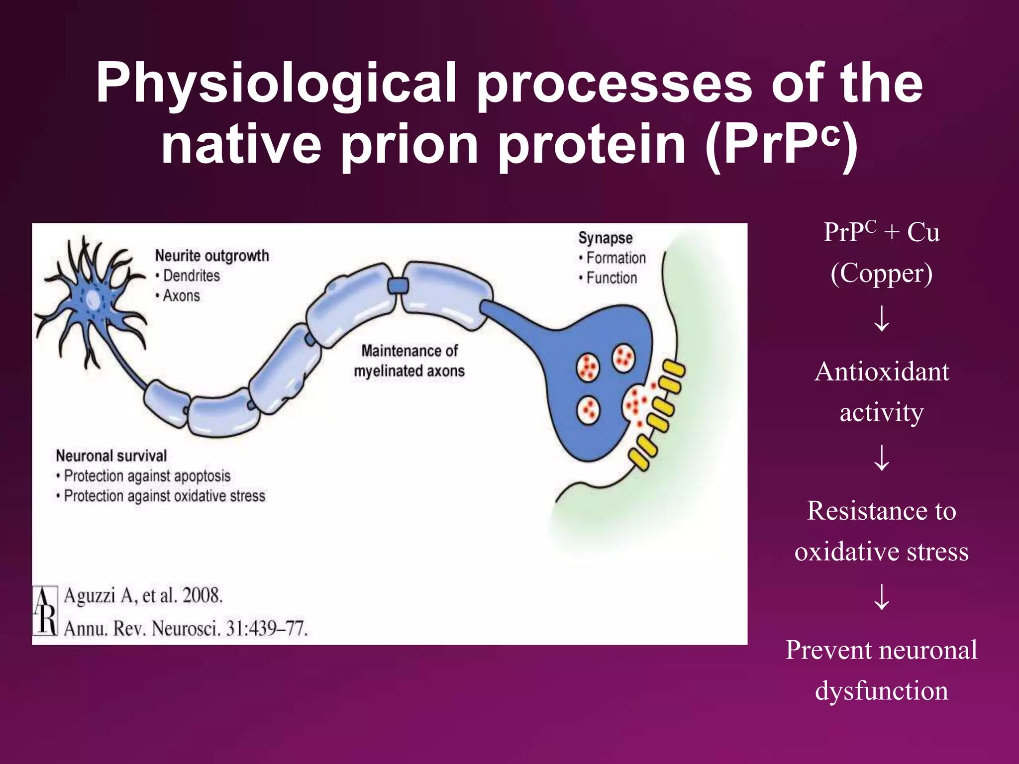 Prion diseases | PPTX