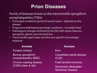 Prion diseases | PPT | Free Download