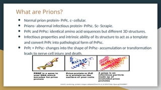 Prion Diseases - Neurological Infections | PPTX