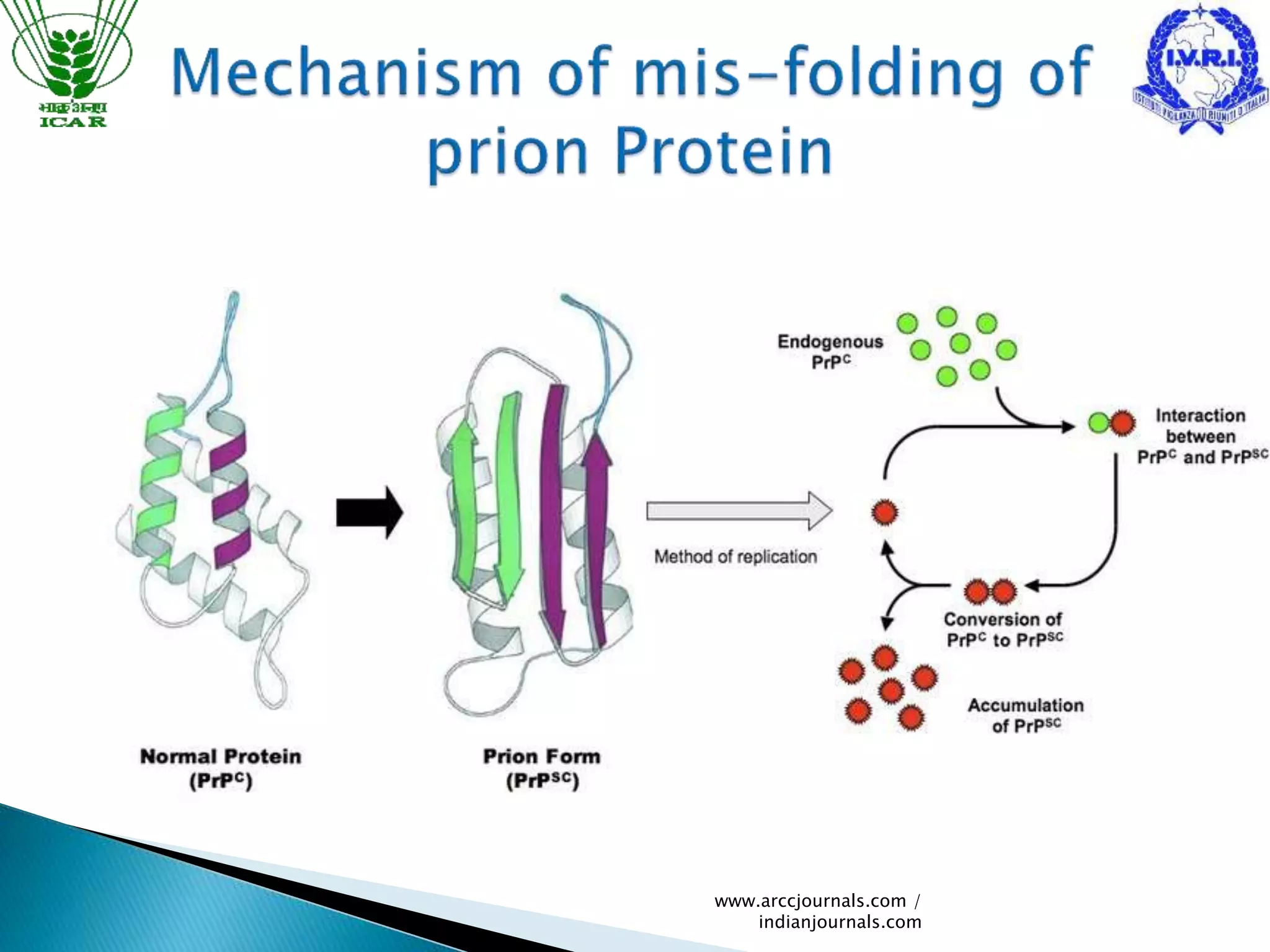 Prion diseases in India | PPT