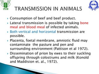 Prion diseases in India | PPTX