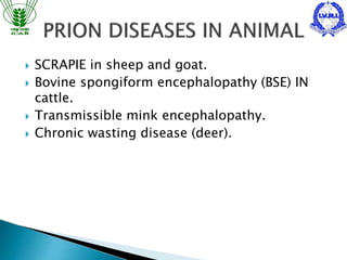 Prion diseases in India | PPTX