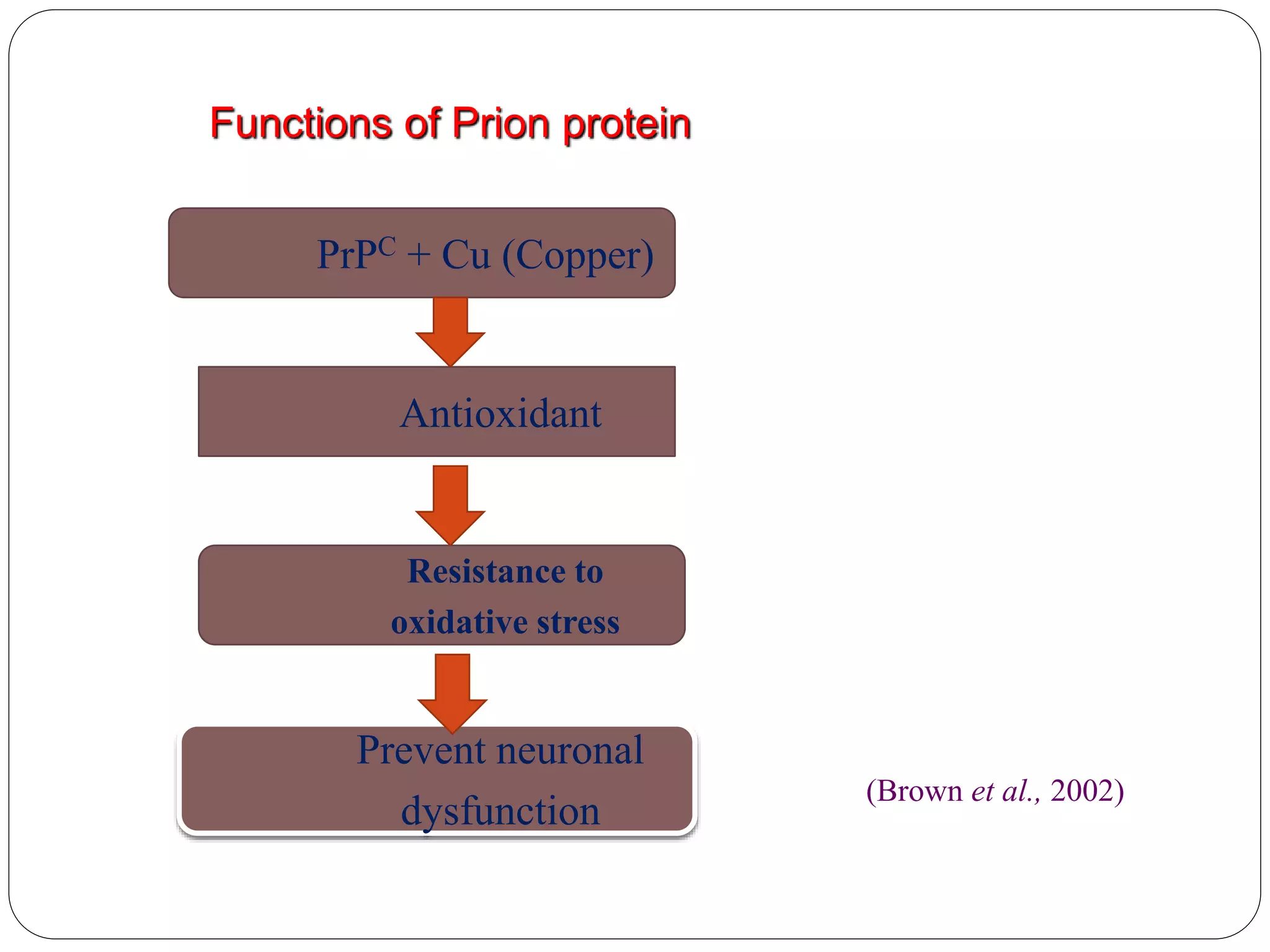 Prion diseases | PPTX