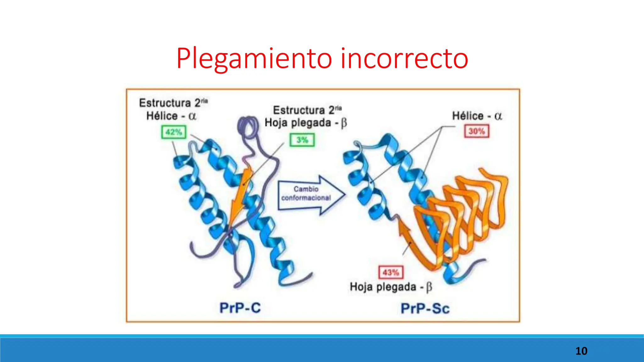 Priones, definiciones y la enfermedad de las vacas locas | PPT