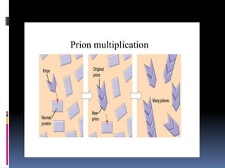An Introduction of Prion protein | PPTX