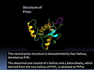 An Introduction of Prion protein | PPT