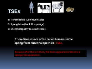 An Introduction of Prion protein | PPTX