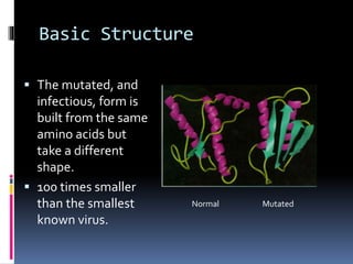 An Introduction of Prion protein | PPTX