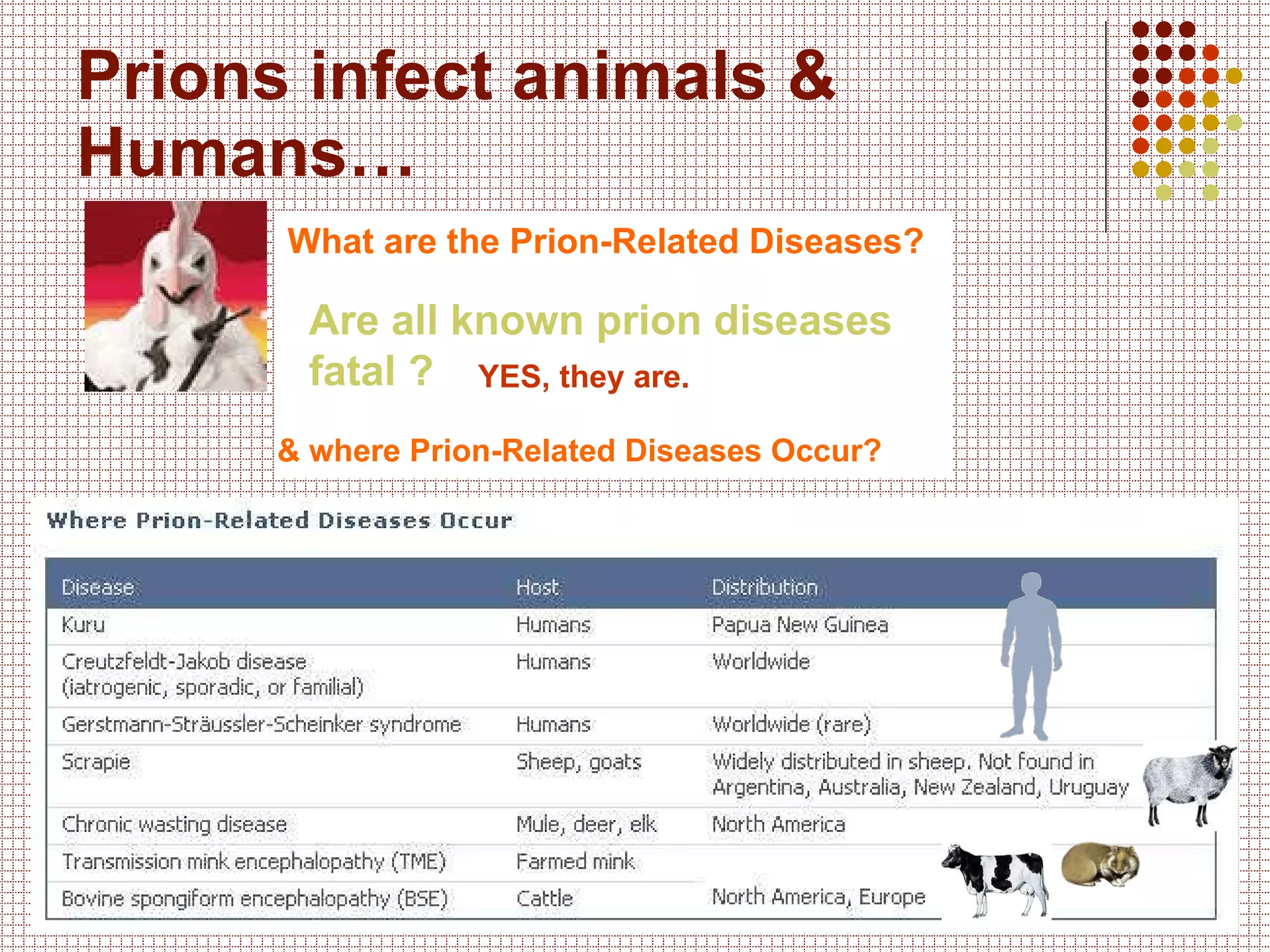 Prions and Diseases | PPT