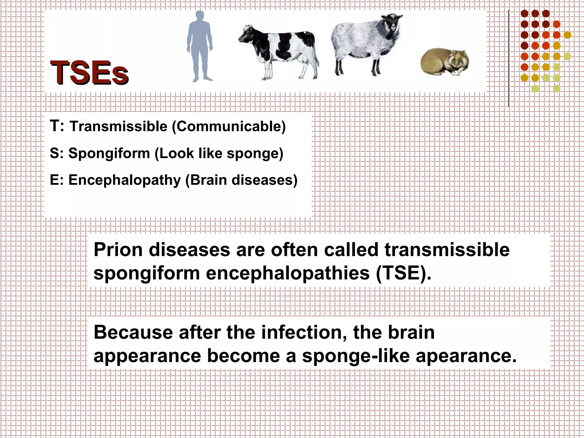 Prions and Diseases | PPT