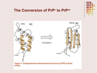 Prions and Diseases | PPT