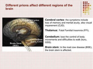 Prions and Diseases | PPT