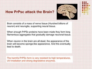 Prions and diseases | PPT